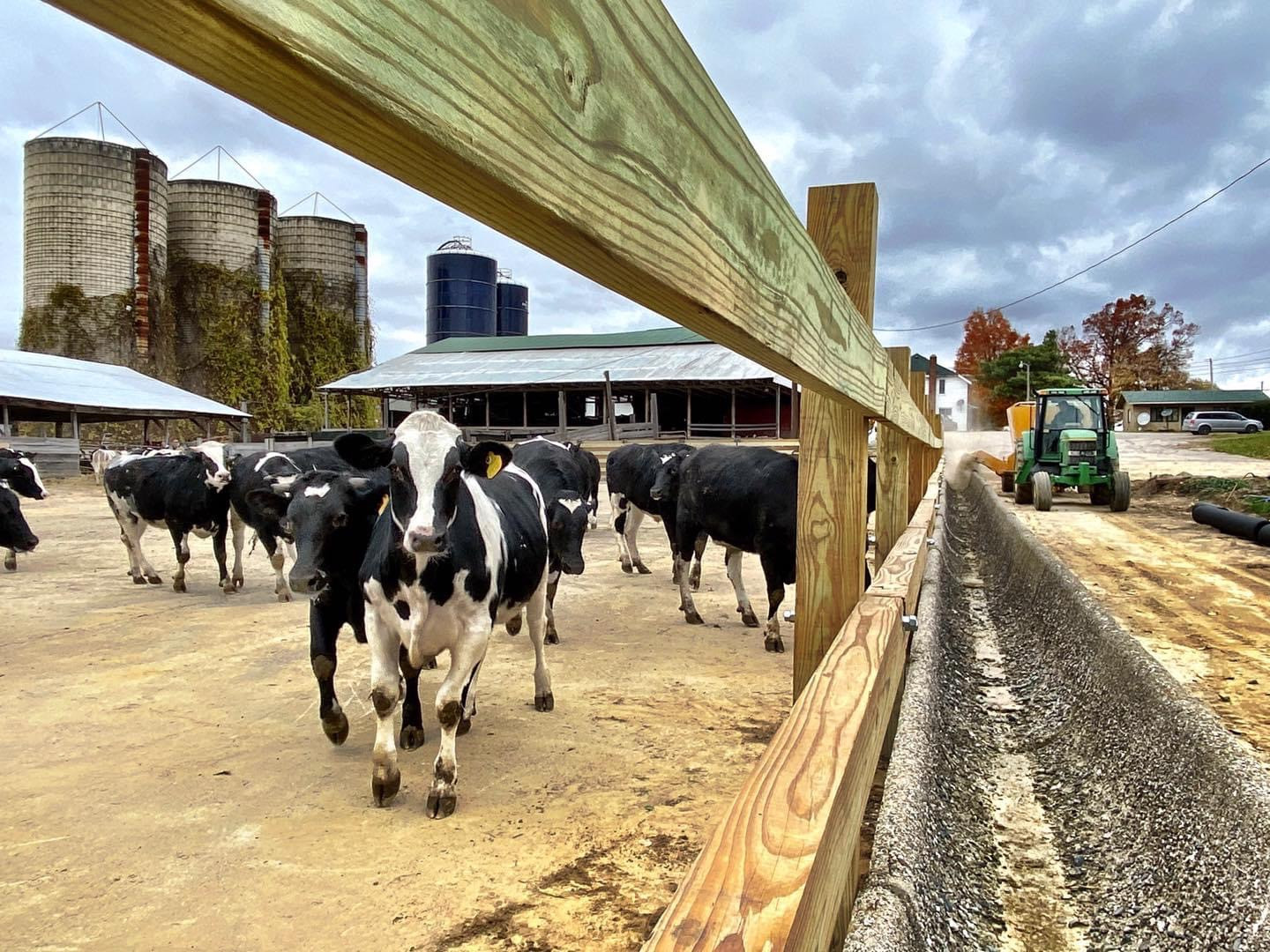 Farm To Table Beef | Fresh Beef Bundles in Flint & Otisville, MI ...