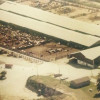 The Farm | Seasonal Crops Grown in Otisville, MI near Flint | Johnson Farms